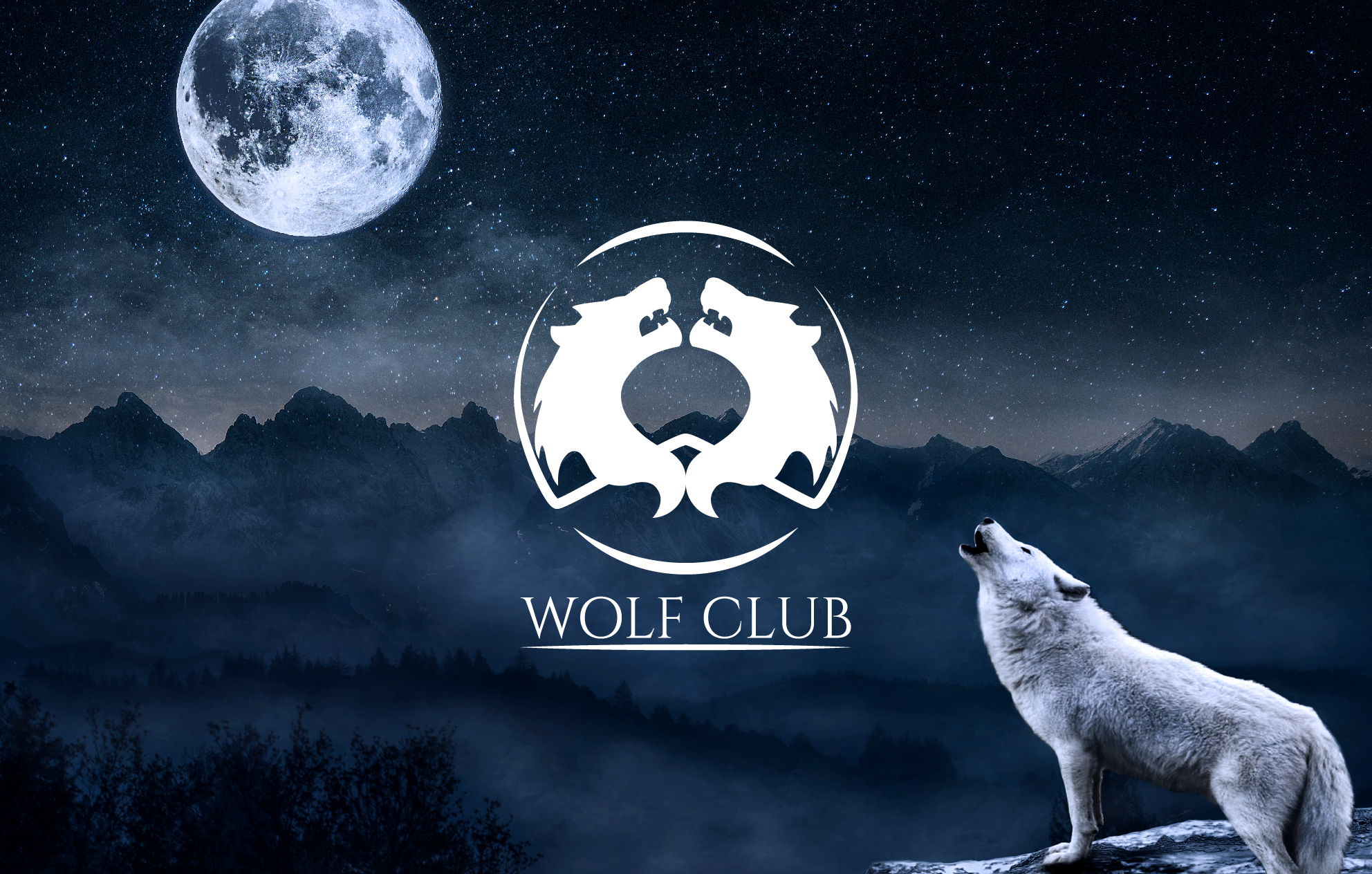 Pablo Zanón Perez Diseñador Gráfico Web | Wolf Club